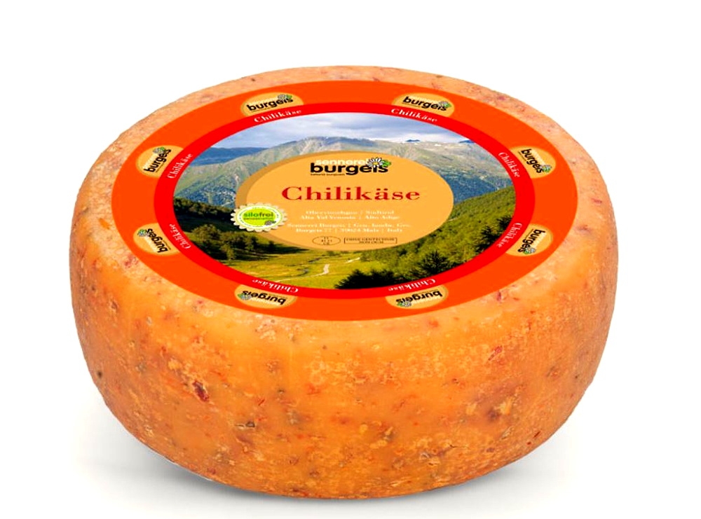 Chilli cheese semi-hard cheese whole form approx. 2 kg Burgusio dai...